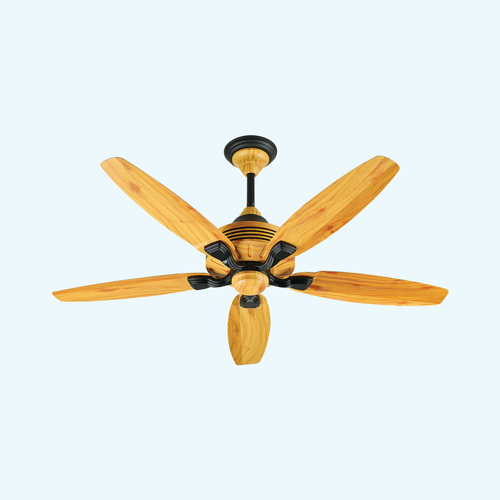 Ceiling Fan – superasiastore